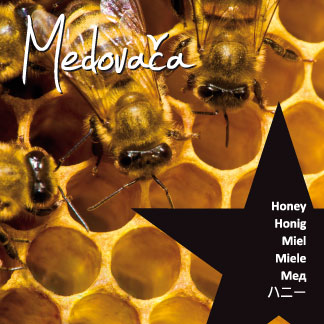 Flavours of Dubrovnik